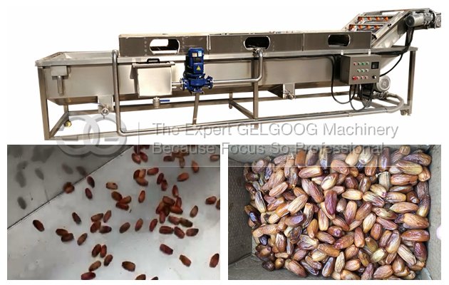 Dates Washing and Drying Line Without Damage for Commercial Use